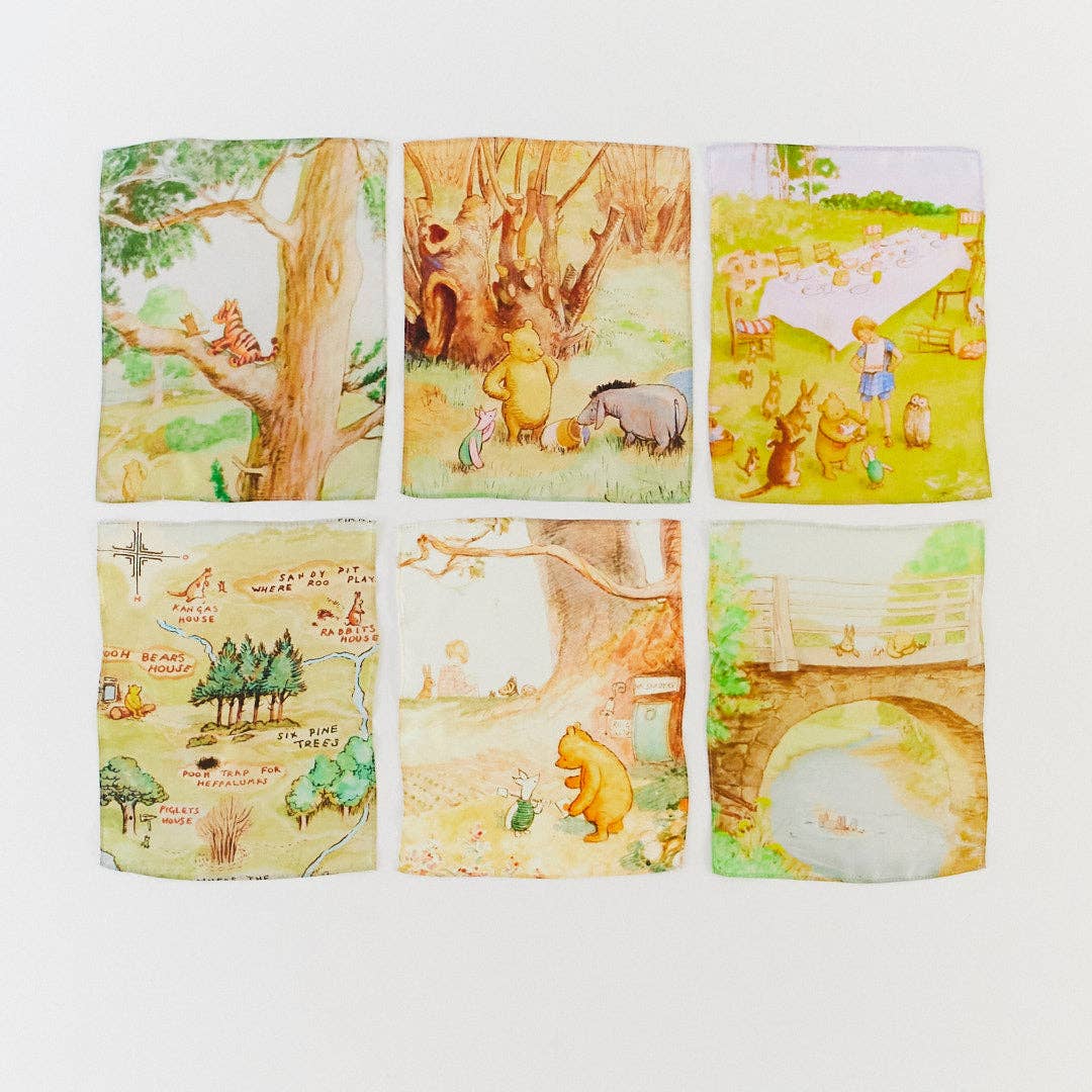 Sarah's Silks Winnie the Pooh Mystery Box – Hazel & Fawn